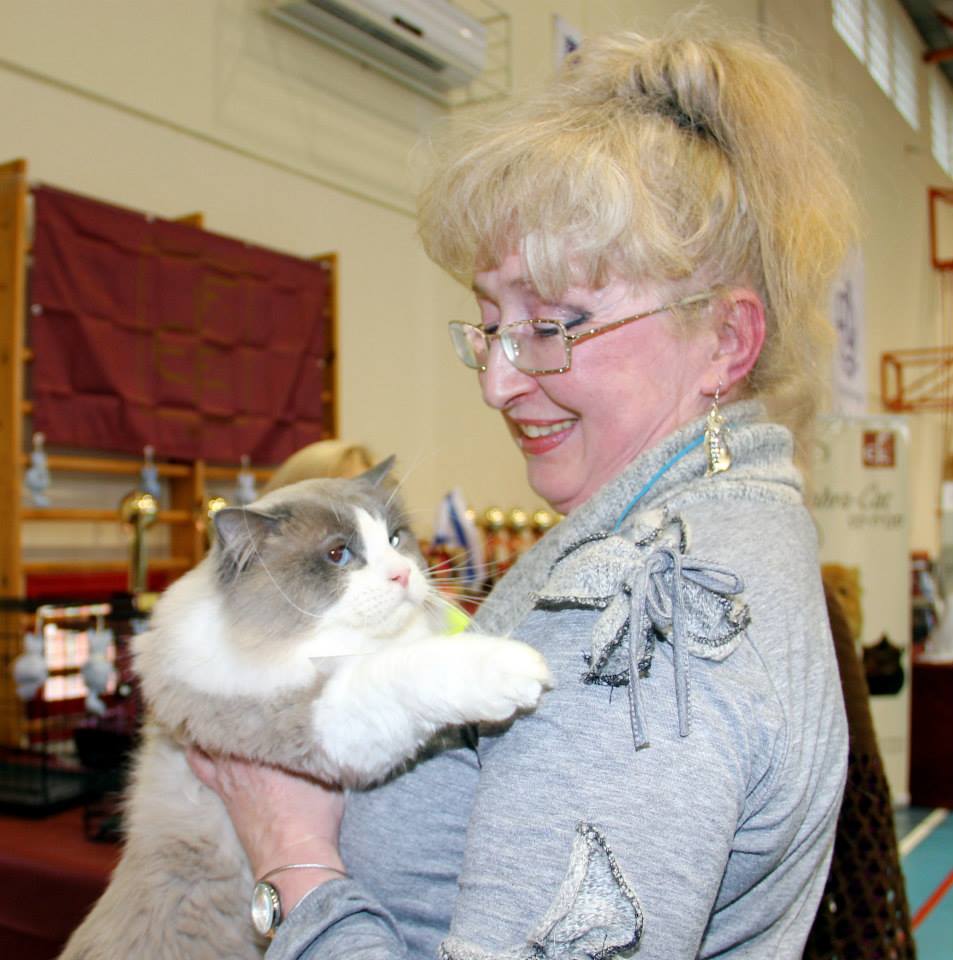 Sabra-Cat - Israeli FIFe Cat Association: Gallery : 11 - 01 - 2014 ...