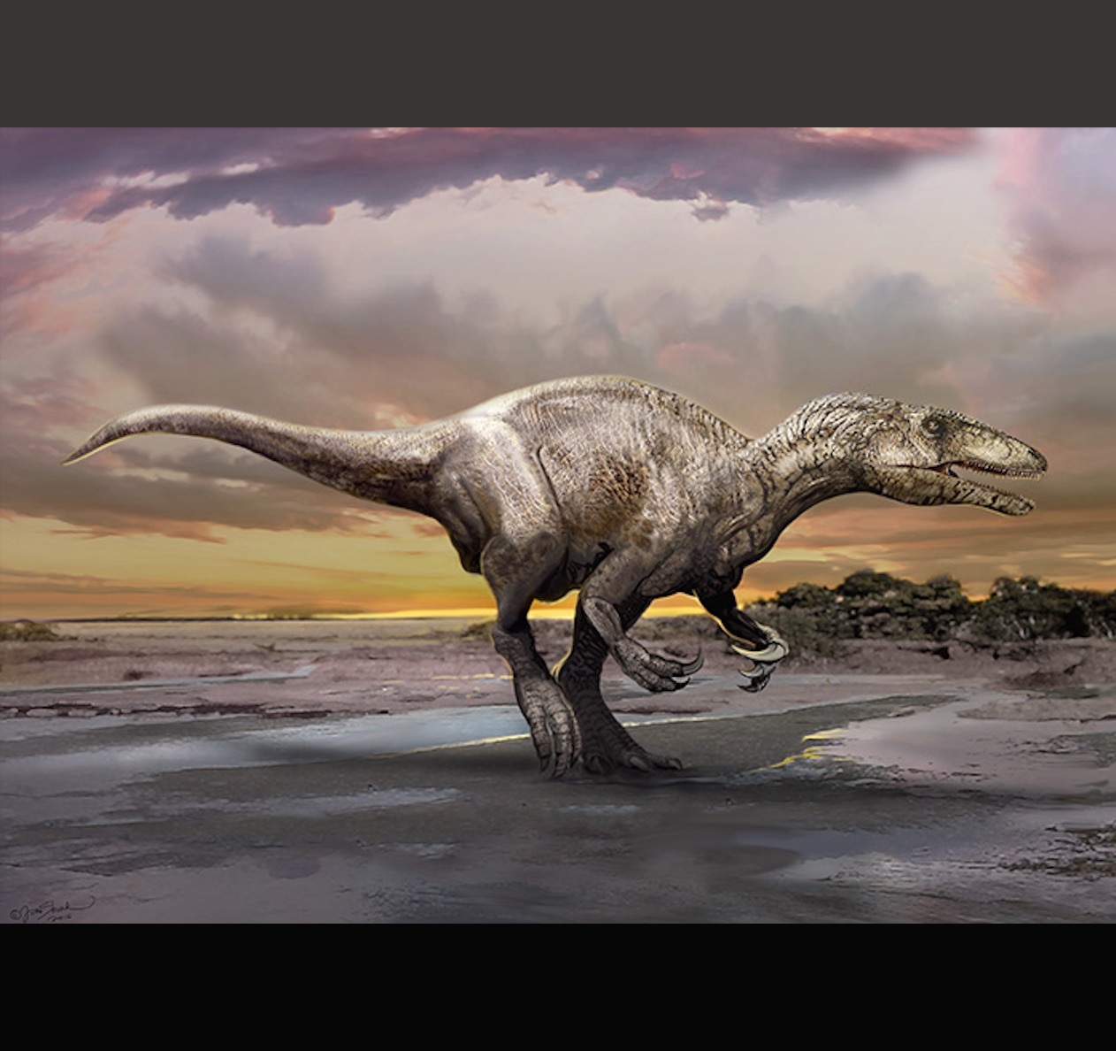 Species New to Science: [Paleontology • 2016] Murusraptor barrosaensis ...