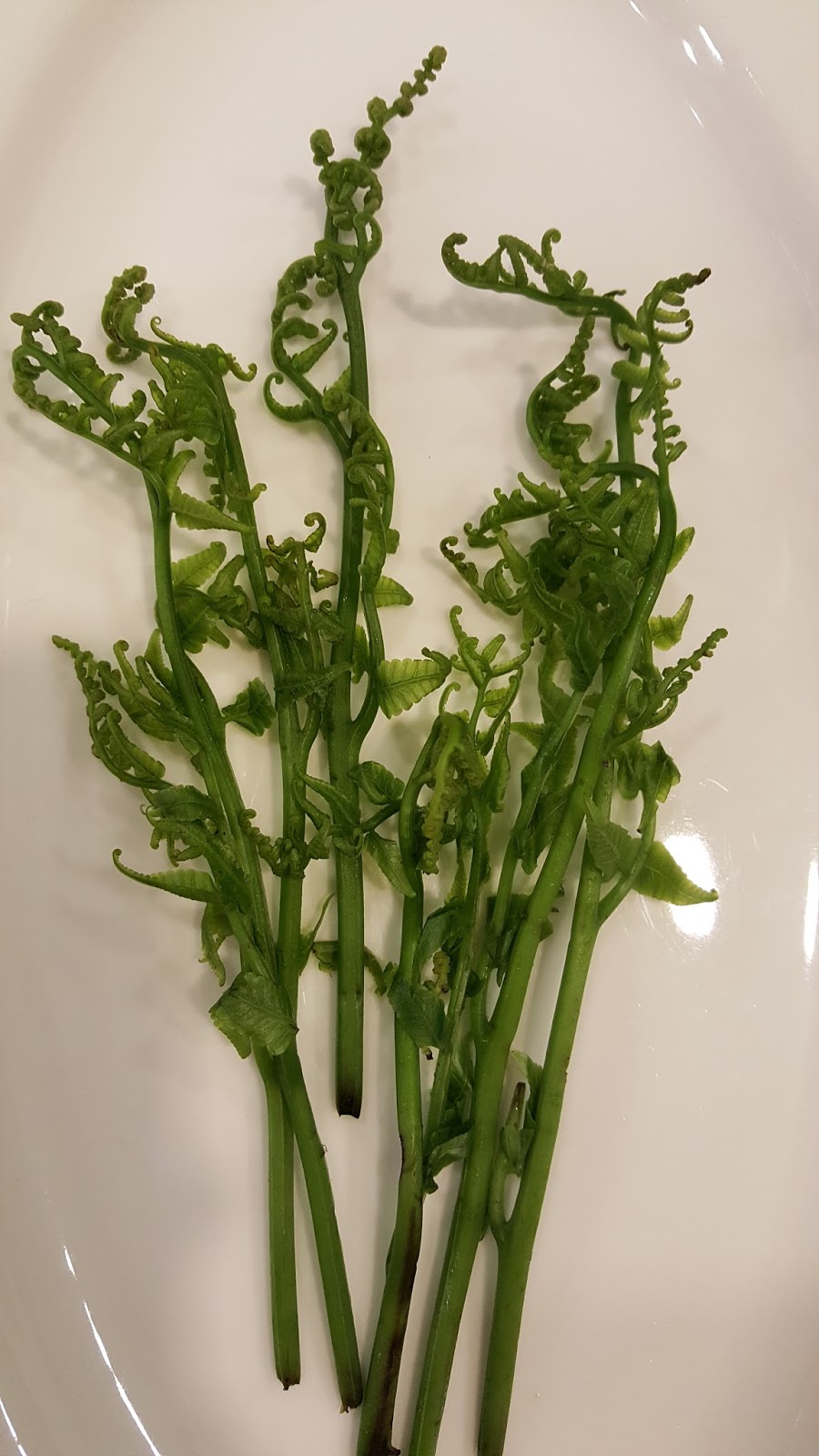 Rushina Munshaw Ghildiyal: Lingde, Khutde, Dhekia xaak, Neuro or ...