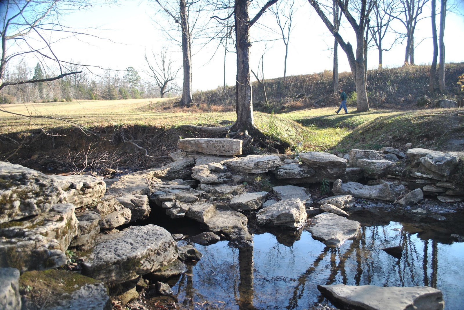 A Thoroughfare for Freedom : The Shiloh Battlefield