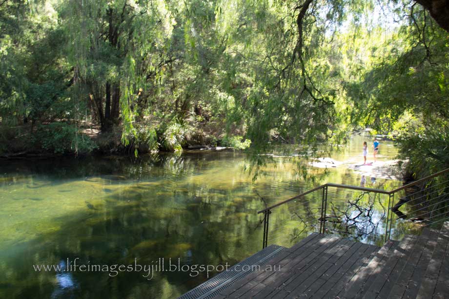 Life Images by Jill: Camping at Potter's Gorge, Wellington Dam, Western ...