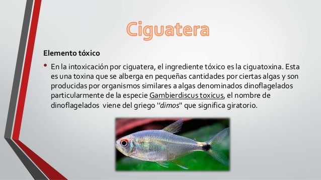 Asturpeskin: La ciguatera, el nuevo anisakis.