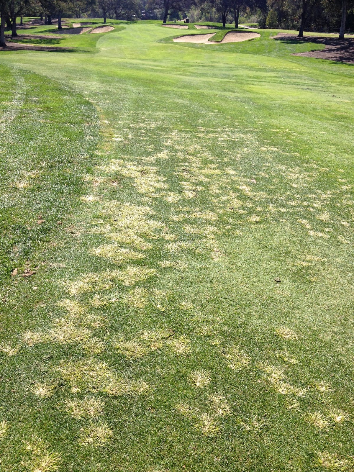 Granite Bay Golf Club Course Update: September 2014