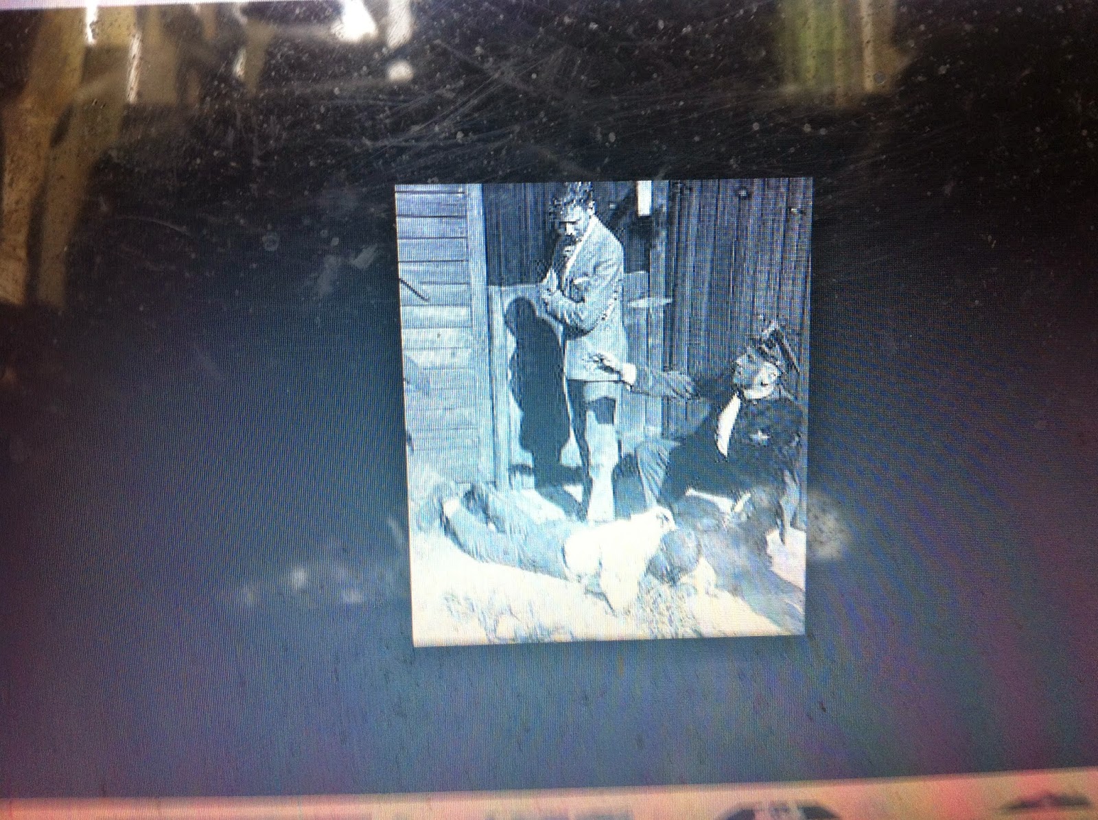 THE BLACK SOCIAL HISTORY:: BLACK SOCIAL HISTORY : AFRICAN AMERICAN ...