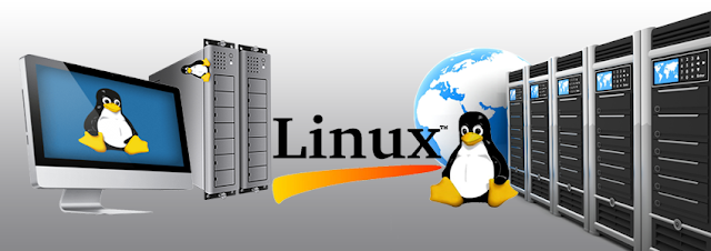 Internal and External Commands in Linux | LPI Central