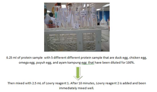 BIOCHEMISTRY: ~ Experiment 2: Protein Experiment