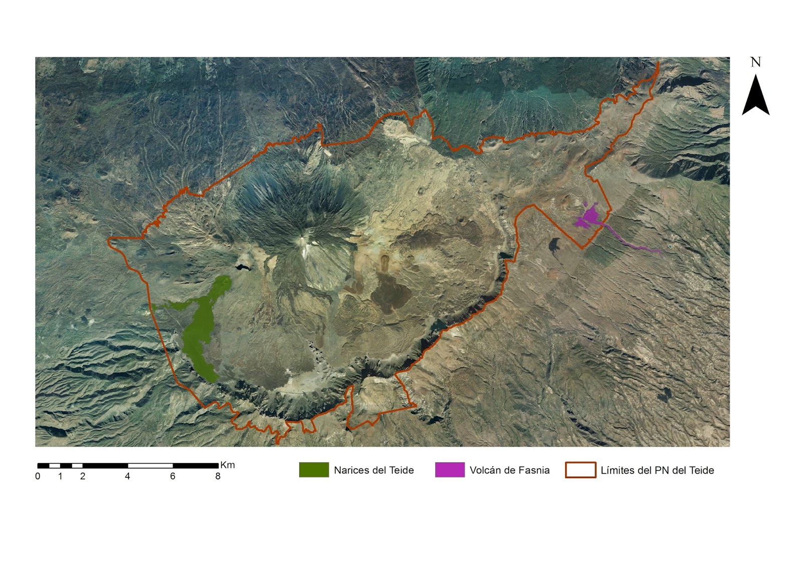 Proyecto Lanius: Los volcanes históricos del Parque Nacional del Teide