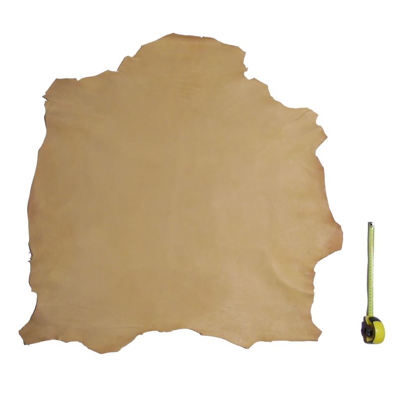 French Vocabulary Illustrated: basane