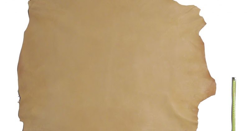 French Vocabulary Illustrated: basane