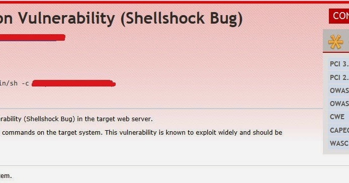 Shellshock BUG: Just For Fun With Netsparker - Hackers Online Club (HOC)