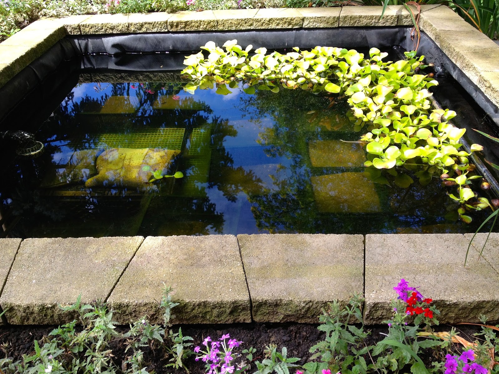 Anoxic Filtration System: With A Little Foresight The Mucerino’s Will ...