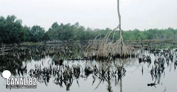 segunda-feira, setembro 14, 2015