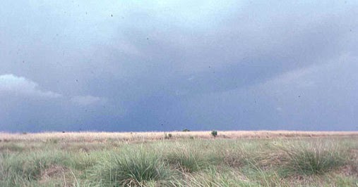 Seeks Ghosts: The Ghost of El Muerto