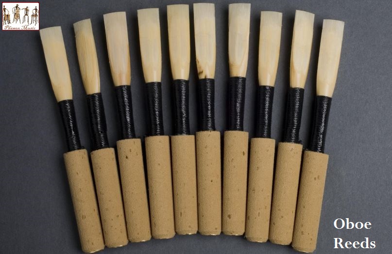 Parts and Body of Oboe ~ Phamox Musiq