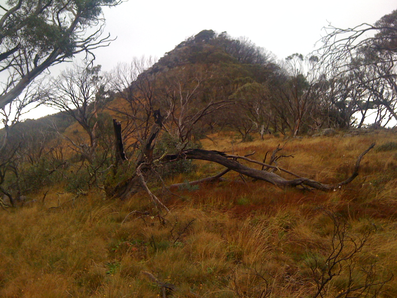 Trails and Tracks: Trip Report: Mt Clear Traverse