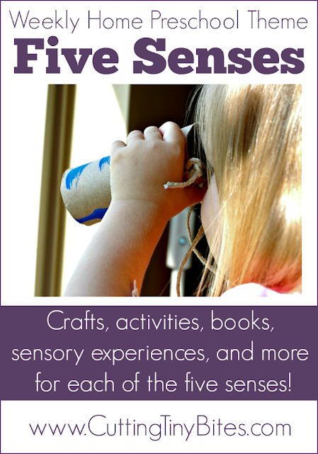 The Five Senses- Weekly Home Preschool Theme | What Can We Do With ...