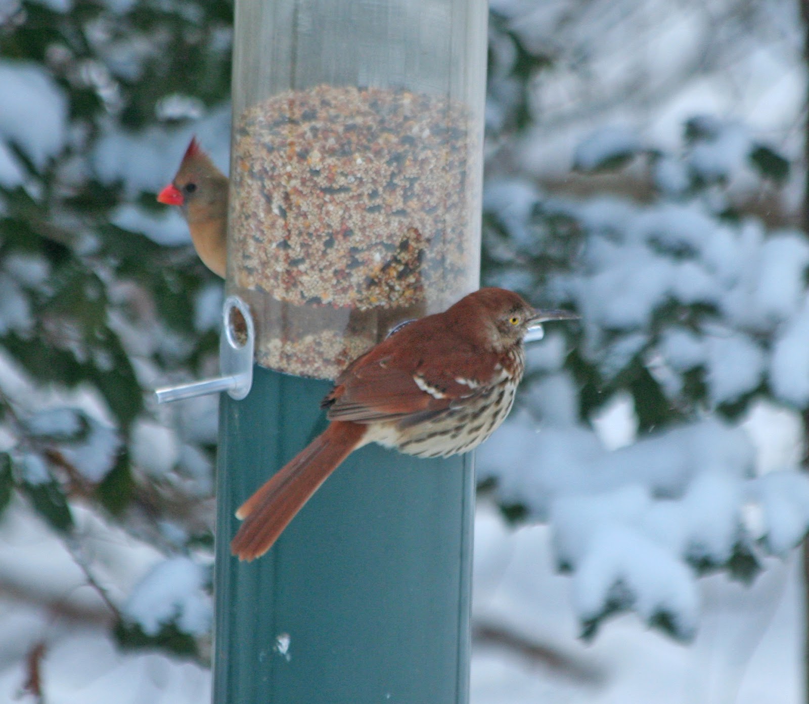 Room Without Walls: Thrashing About.