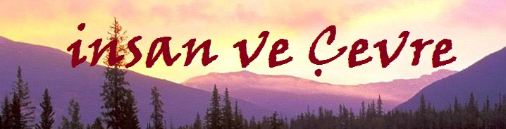 İNSAN VE ÇEVRE
