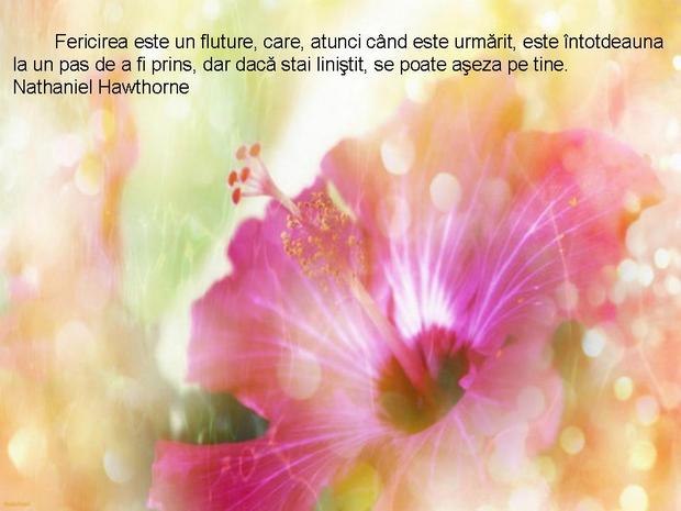 SECTIA IMPRUMUT CARTE PENTRU COPII: AZI E ZIUA INTERNATIONALA A FERICIRII