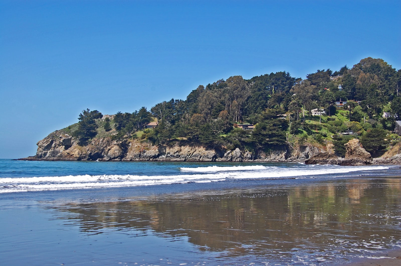 THE DREAMWORLD WAVE: TRIUMPH, PEACE AND BEAUTY