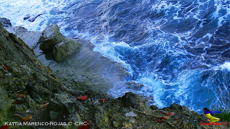 Playa Cocles de Limón | Explore Costa Rica