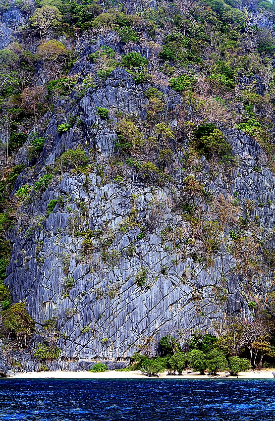 Palawan Place: July 2010