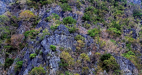 Palawan Place: Agutaya Municipality