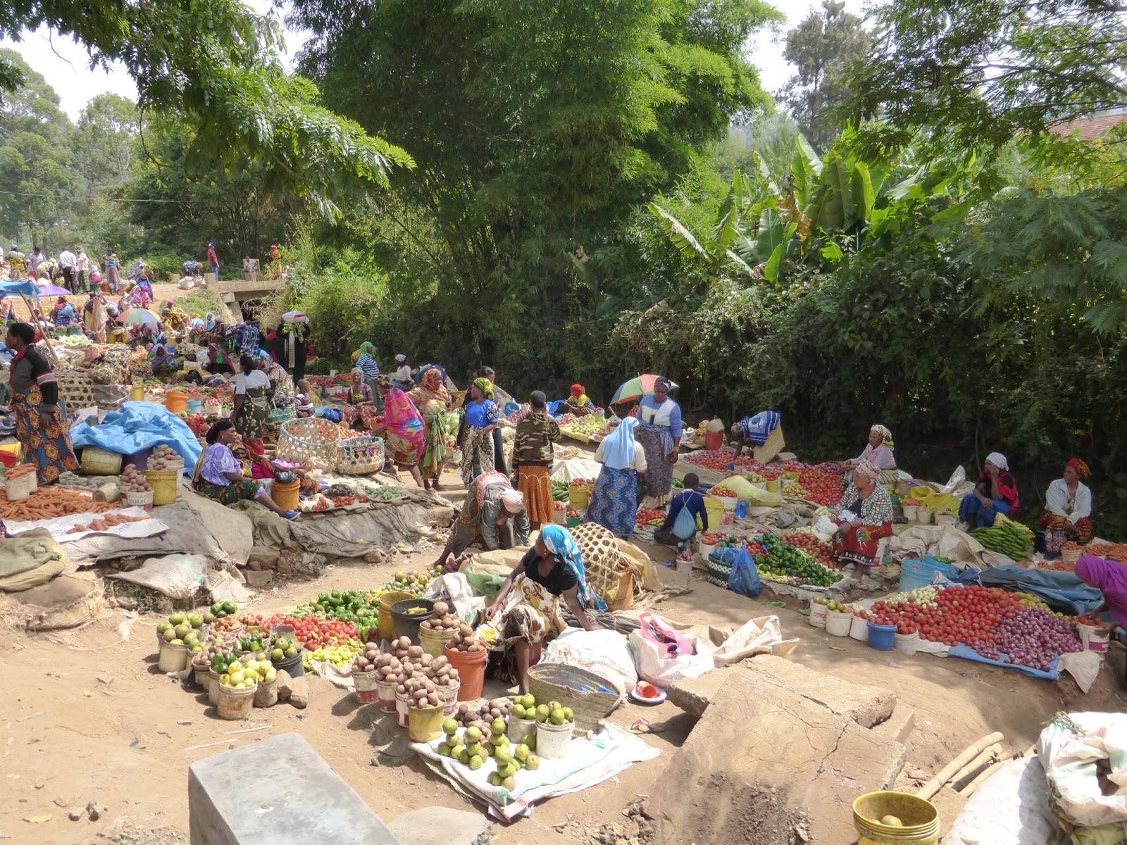 Backpacking Tanzania. Lushoto, Usambara mountains.