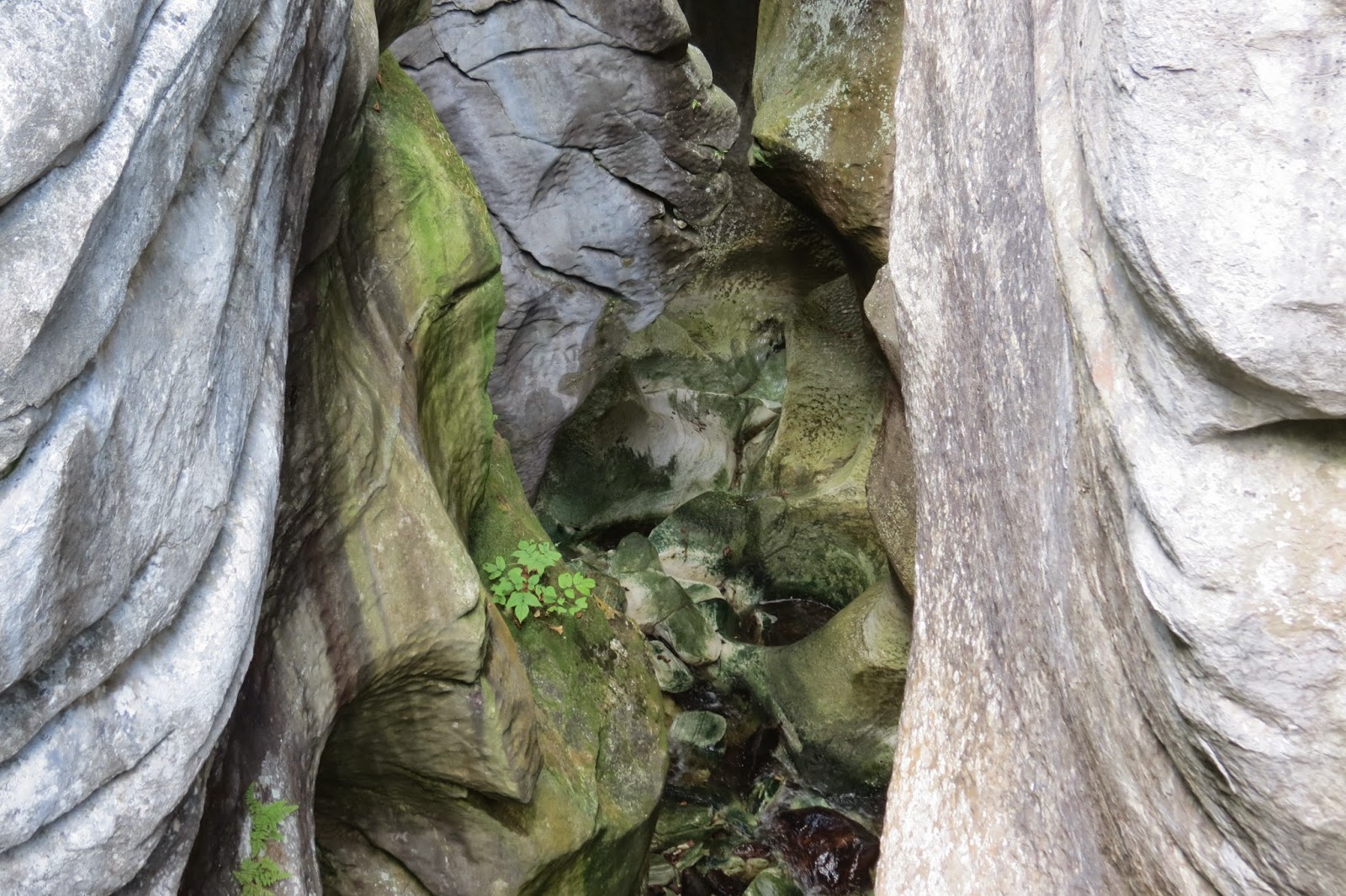 Where's Liz? 2014: White Marble Dam, Natural Bridge, and Mount Greylock