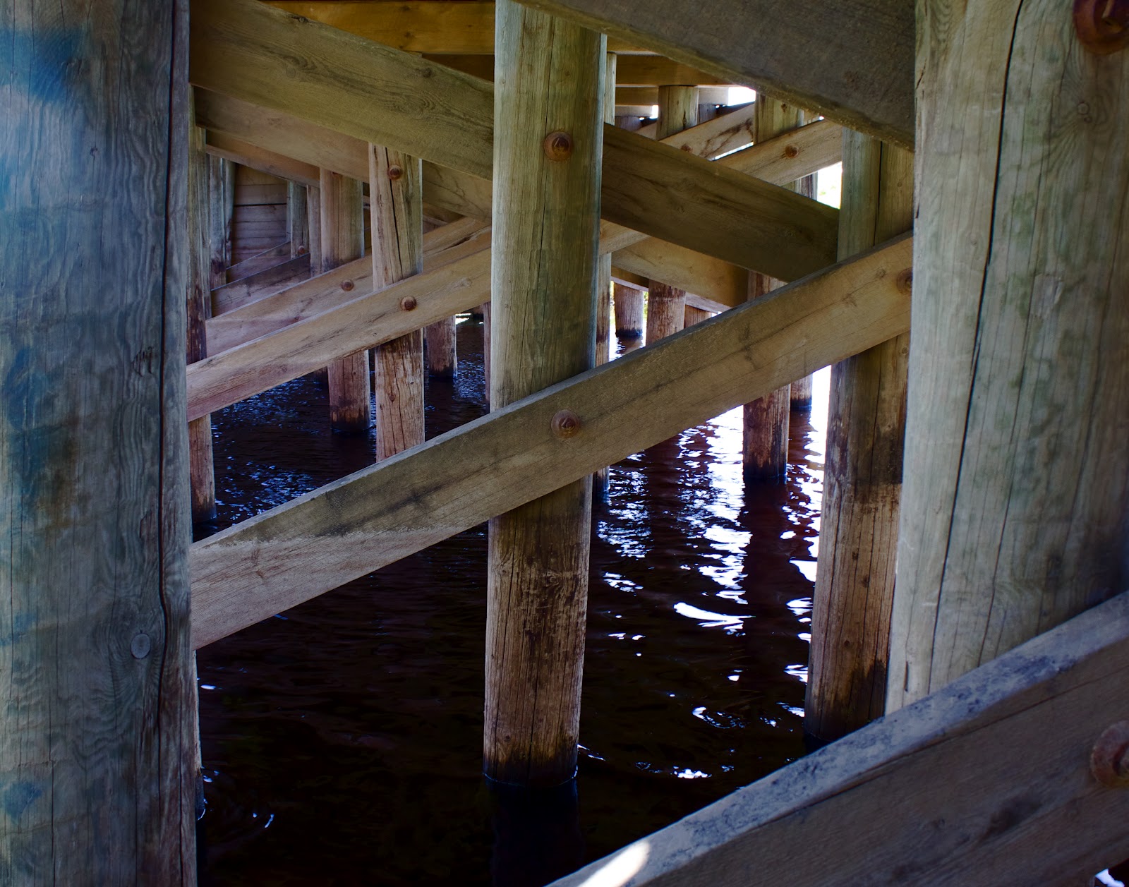 Lance Cardinal Creations: 08/17/12