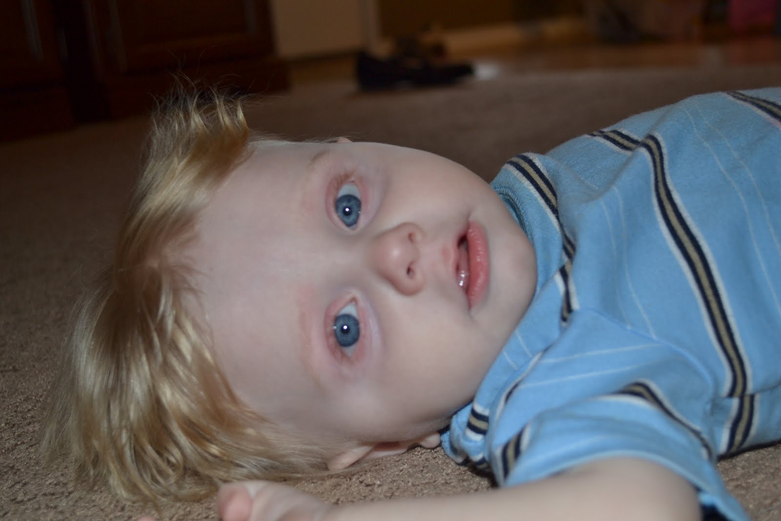 Haircuts | The Blizzard Family