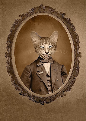 Catsparella: Custom Vintage Cat Portraits by Hot Digital Dog