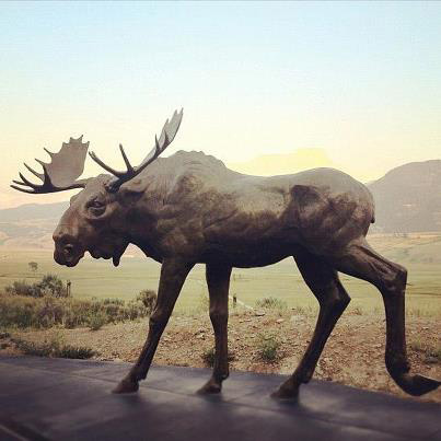 Sandy Scott Art: #312 At the museum: "Moose Flats" con't