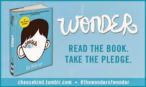 Lifetime Literacy: Wonder by R.J. Palacio
