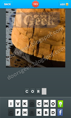 Zoomed In - Photo Word Game Level 193 ~ Doors Geek