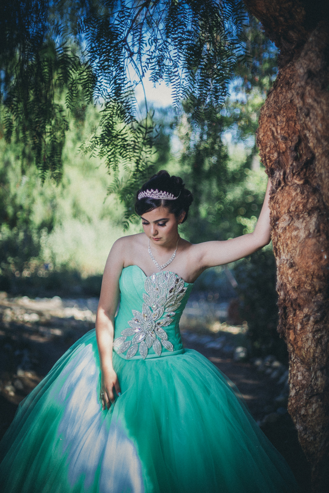 Wedding Photography in Los Angeles area by Roy Photographer