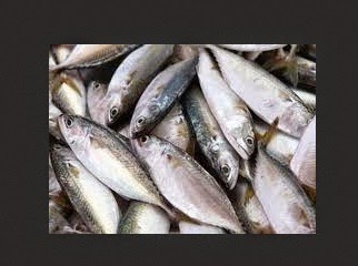 Tips dan Cara memilih Ikan Segar - Blog Anak Nelayan