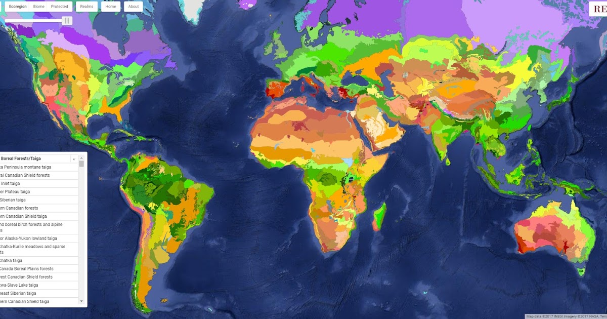 Ecoregions and Biomes of the World - Vivid Maps