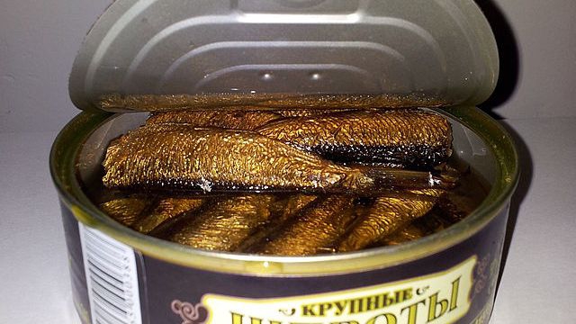 Comida Russa de Verdade: Sprotte, sprotid ou shproty