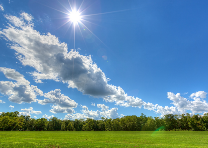 PREPARATORIA ABIERTA NUPLES (SEP): LAS FUNCIONES DEL LENGUAJE