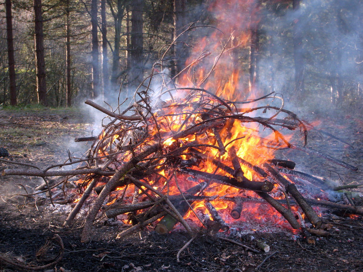 Gibside: Fire Raising Part 2