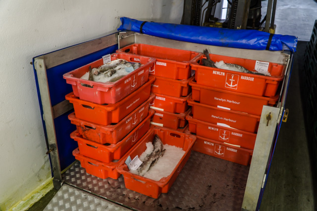 Through the Gaps! - Newlyn Fishing News Cornwall UK fish commercial ...