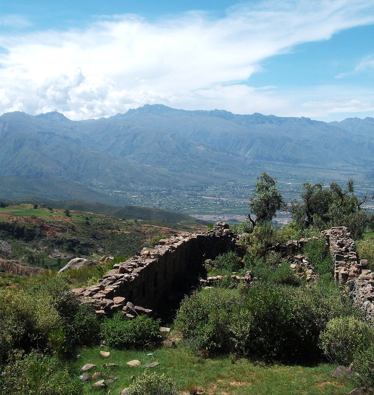 Brigada de Asambleístas de Cochabamba: Diputados declaran patrimonio ...