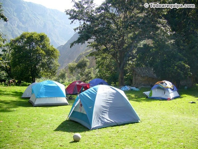 Definicion de CAMP!NG | ToDo SoBrE cAmPiNg