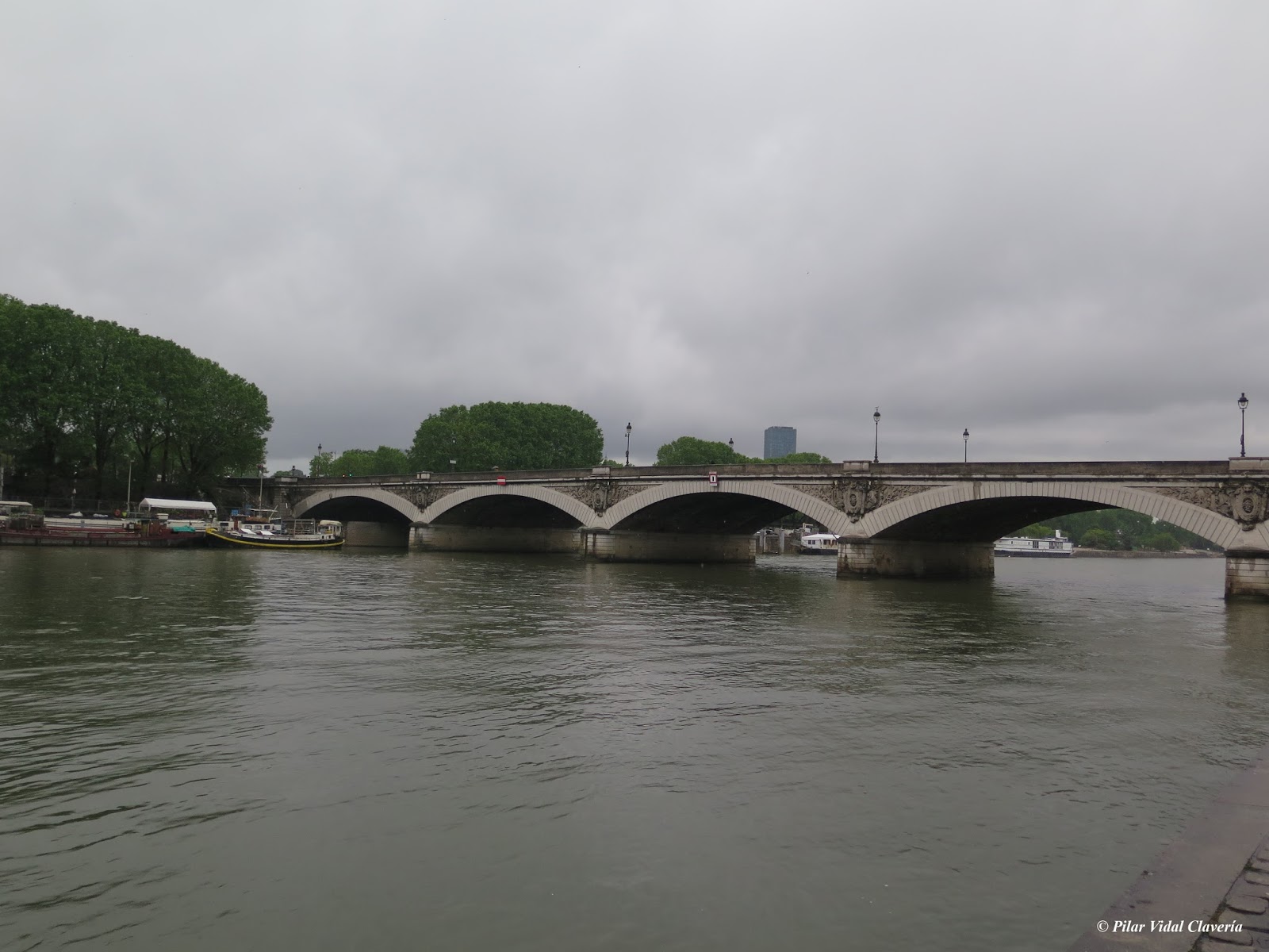 Puentes de París, Pont d'Austerlitz