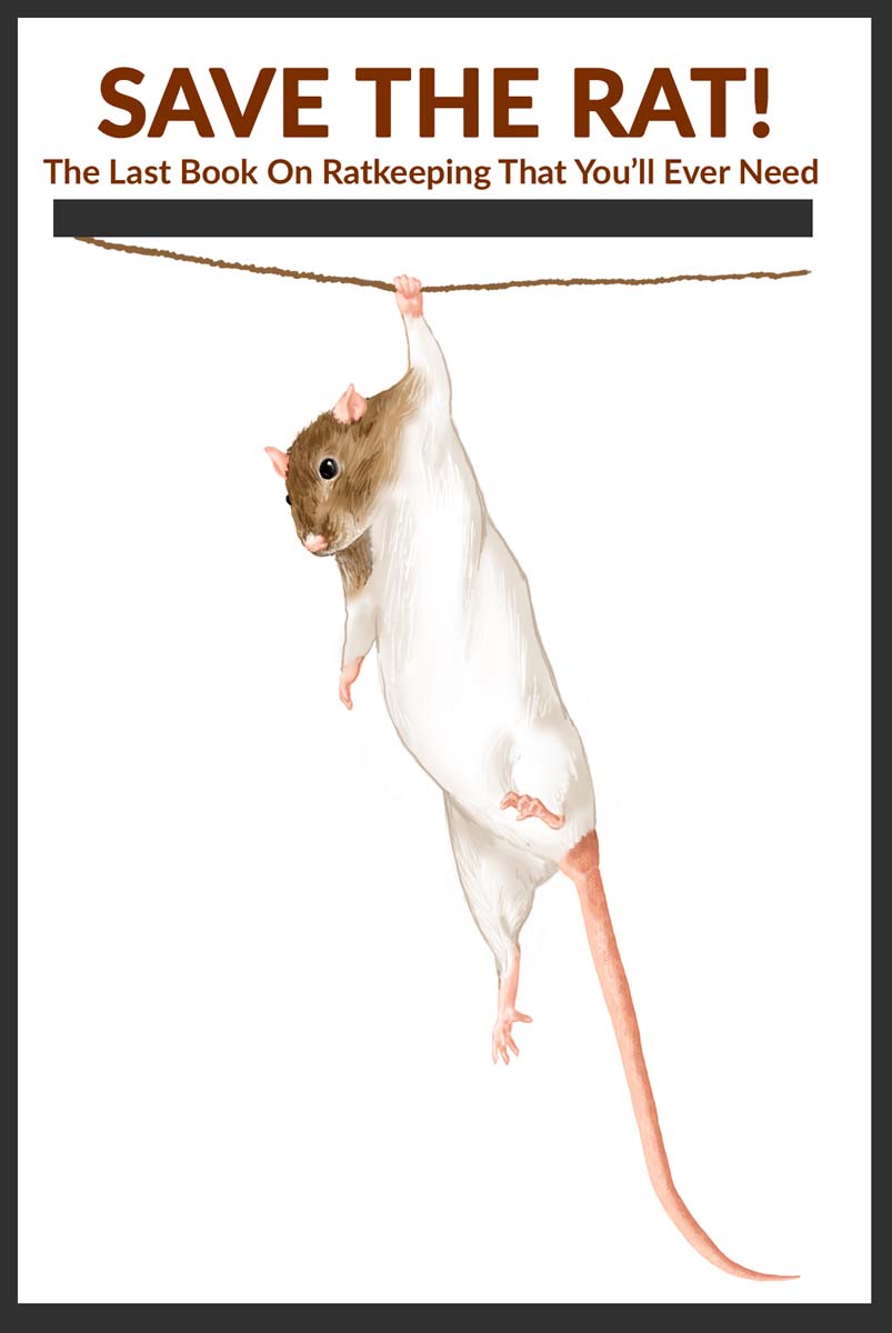 The Art of The Illustrated Rat: Save The Rat