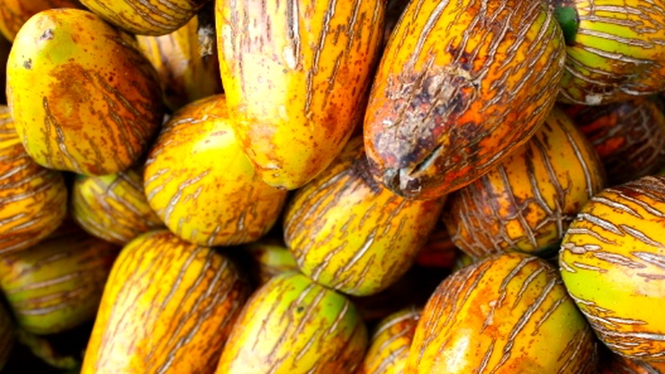 Frutas típicas del Chocó