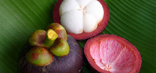 Manfaat Kulit buah Mangis ~ Missyella Blog