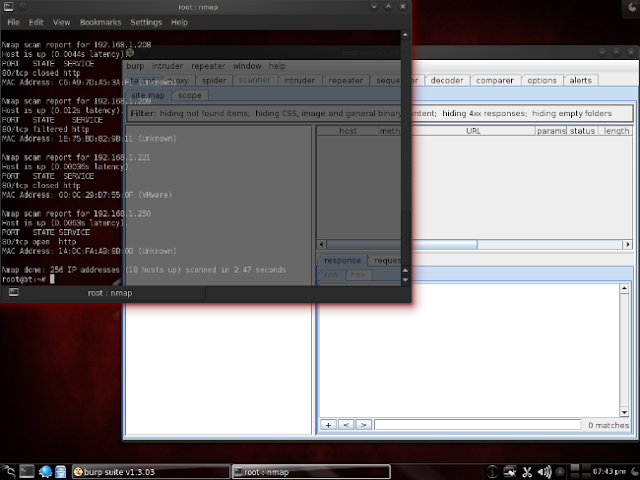 Comandos Básicos Backtrack