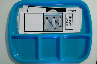 :Penguin Cards:
